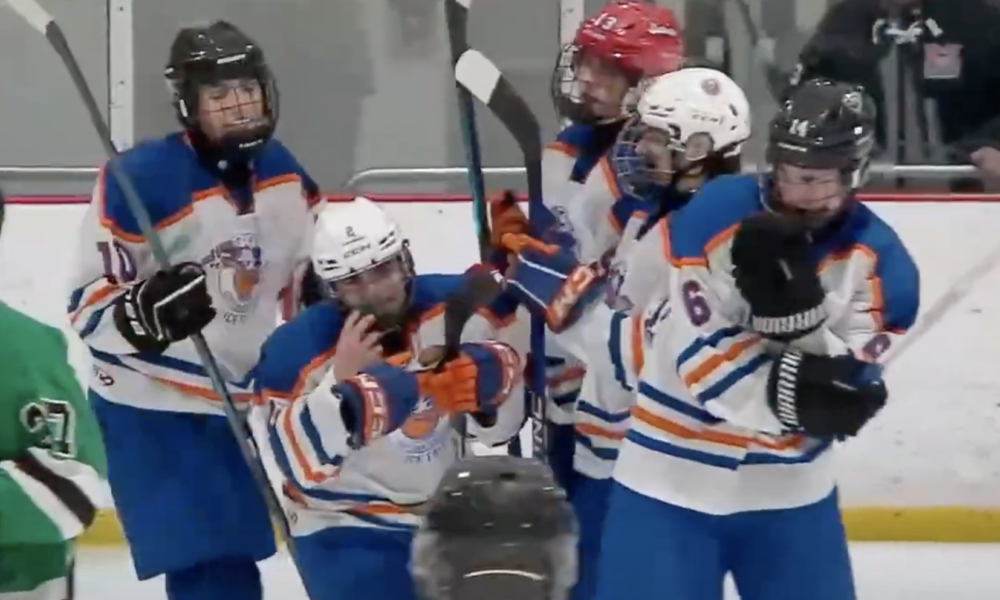 Ice Falcons Down The Dalers – Long Island Hockey News